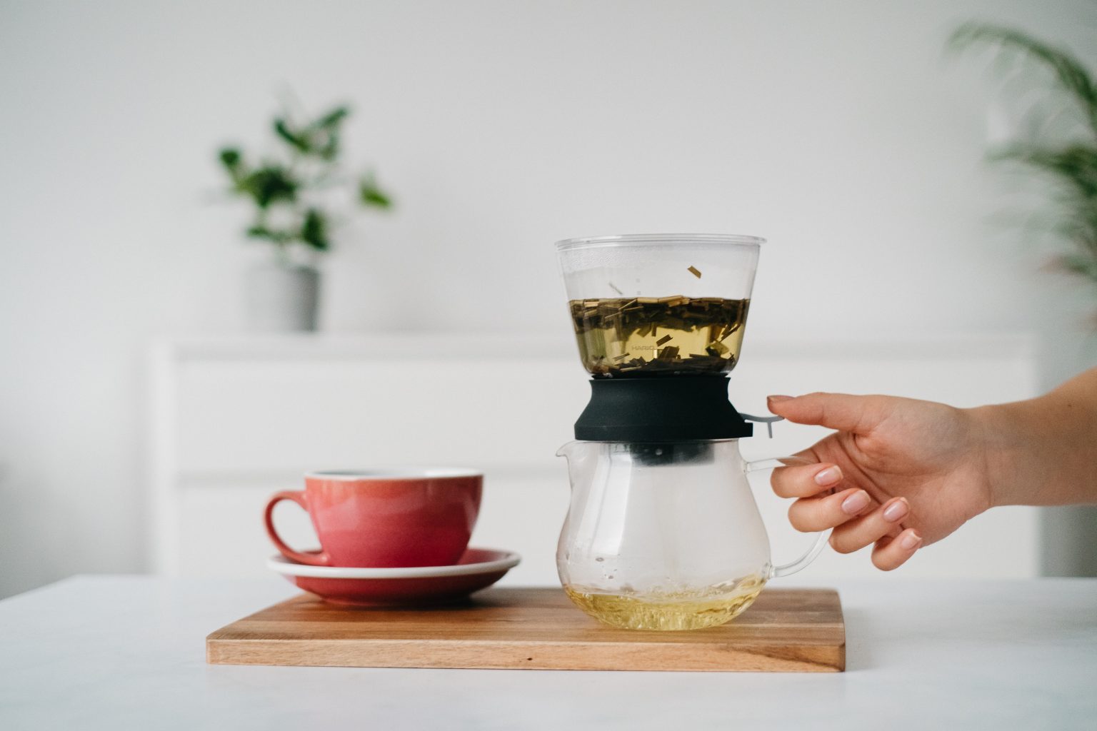 How to choose a tea brewer? - Blog Coffeedesk.com