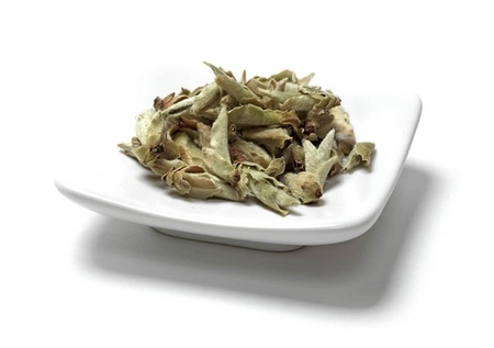 A simple guide to white tea - Blog Coffeedesk.com
