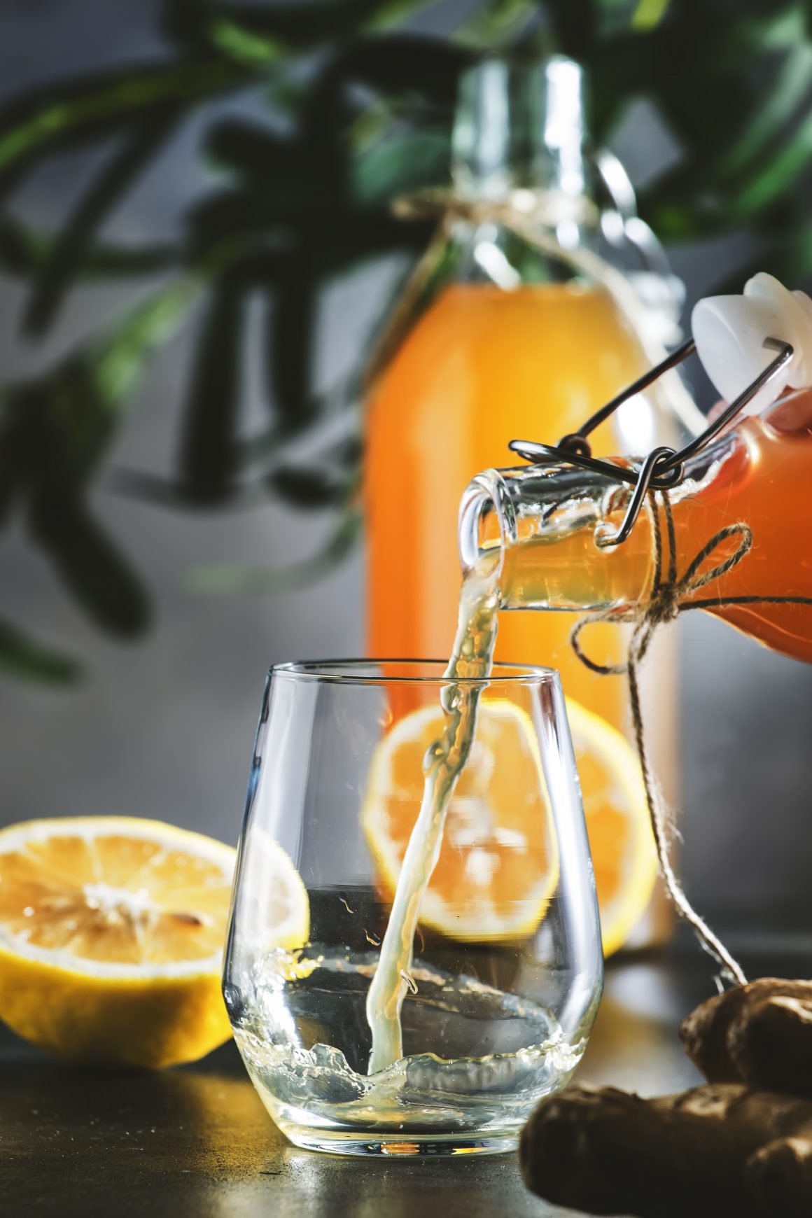 How to Make Homemade Kombucha? - Blog Coffeedesk.com